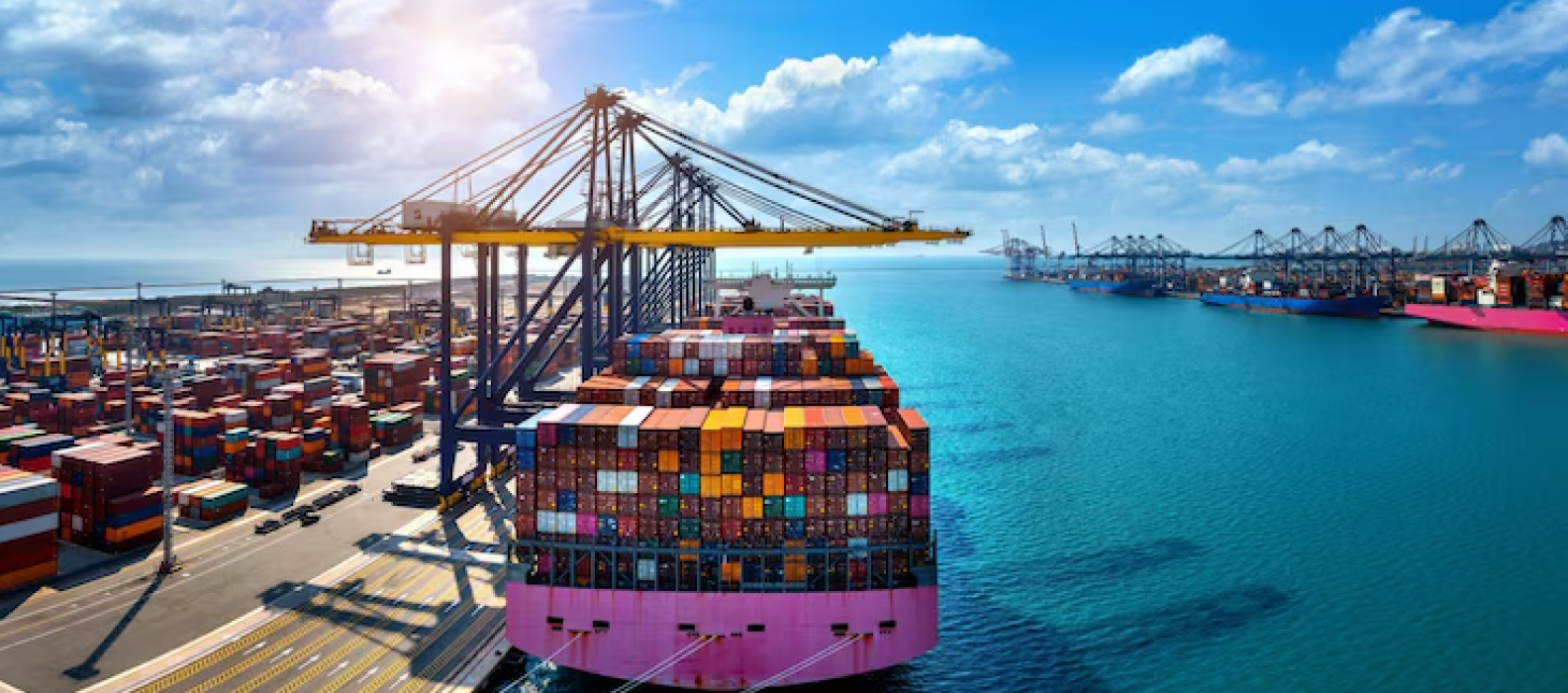 Freight Forwarding Services | Team logistics
